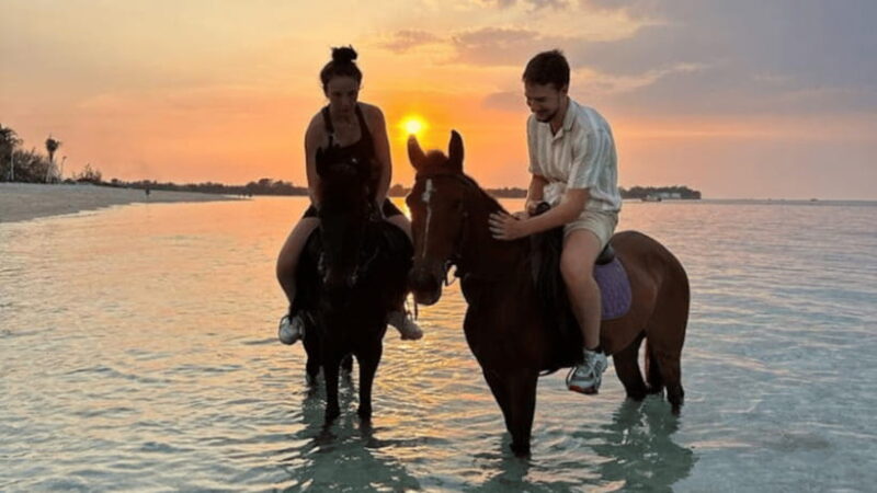 Gili Meno: 1-Hour Horse Riding Adventure - The Scenic Highlights