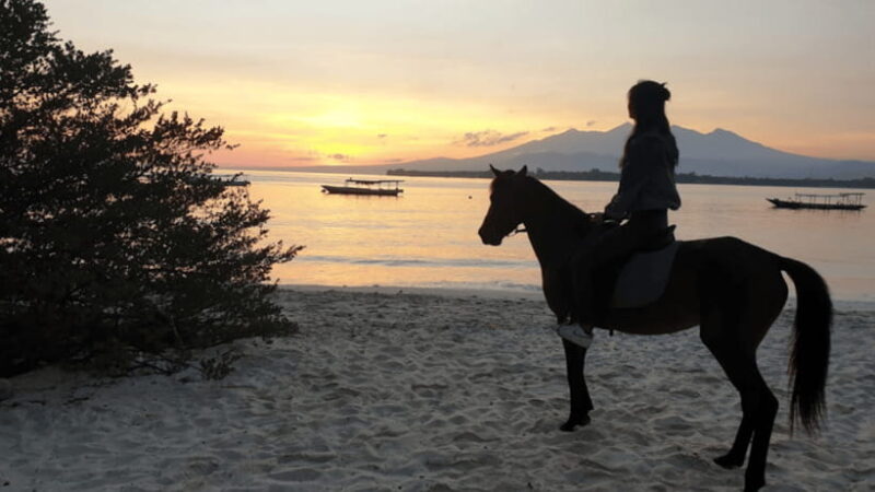 Gili Meno: 1-Hour Horse Riding Adventure - The Group and Guide Experience