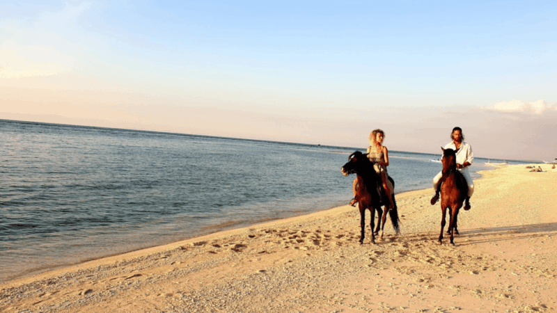 Gili Meno: 1-Hour Horse Riding Adventure - Overall Value and Suitability