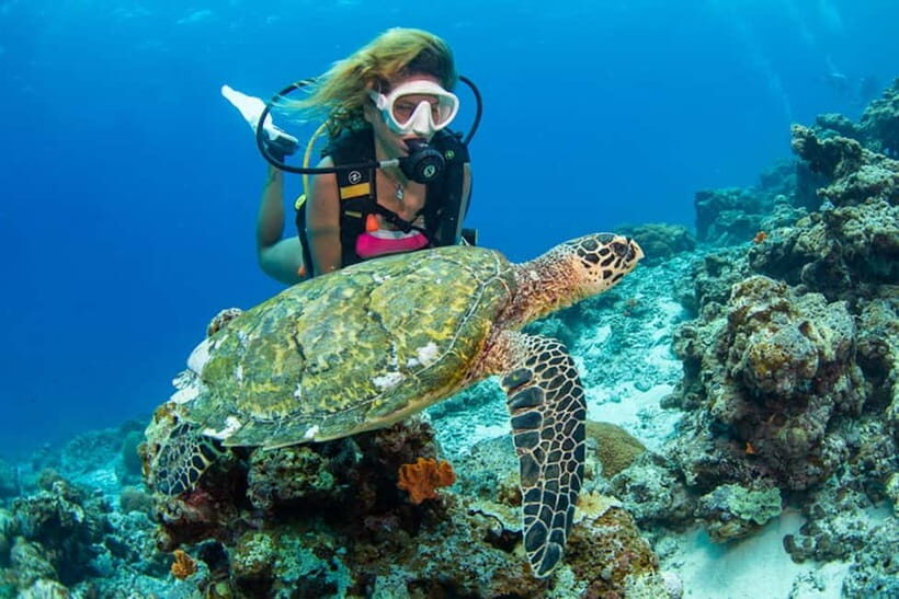 Gili Meno: Discover Scuba Diving for the first time - Introduction to the Gili Meno Scuba Experience