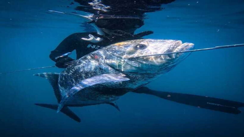 Gili Meno: Experience the Thrill of Spearfishing Adventures! - Practical Details and Considerations