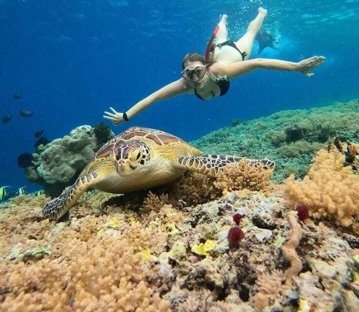Gili Meno: Private Snorkeling 3 & 4 Spot with Gopro Camera - FAQ