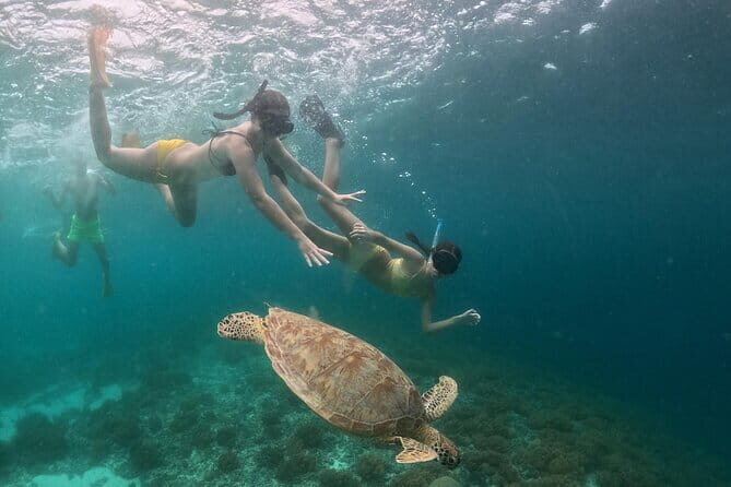 Gili Nanggu, Gili Kedis & Gili Sudak Private Tour - Final Thoughts