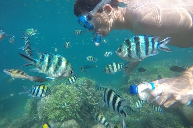 Gili Nanggu,Gili Kedis & Gili Sudak Hopping island & Snorkeling Tour - Final Thoughts: Is This Tour Right for You?