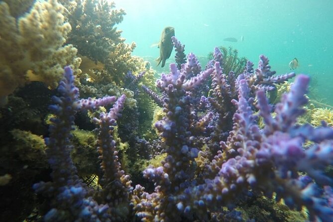 Gili Nanggu,Gili Kedis & Gili Sudak Hopping island & Snorkeling Tour - FAQ