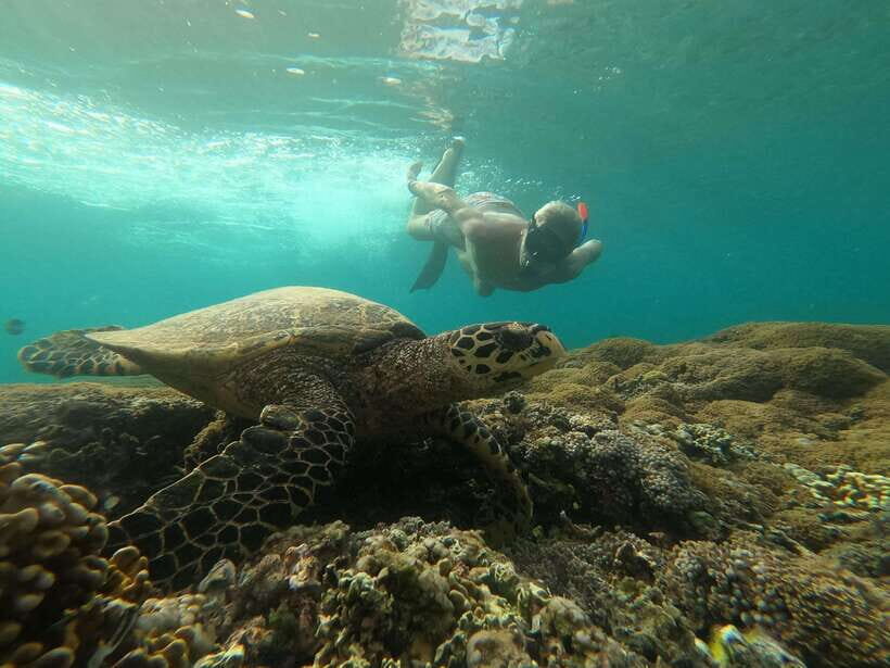 Gili SUNSET Snorkeling Tour With GOPRO Documentation - Key Points