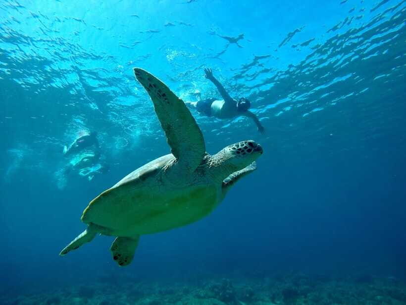 Gili SUNSET Snorkeling Tour With GOPRO Documentation - FAQ: Practical Questions