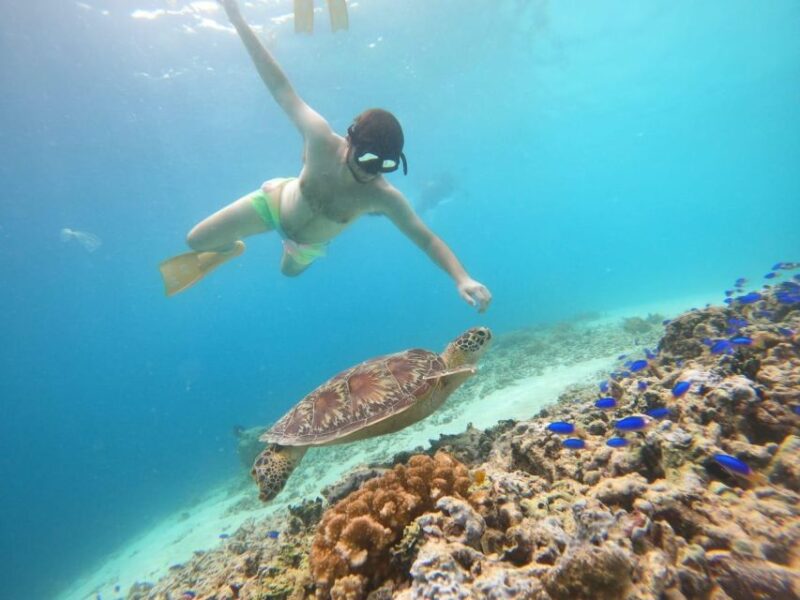 Gili T Island: Gili Snorkeling Day Trip Swim With Turtles - Departure and Meeting Points