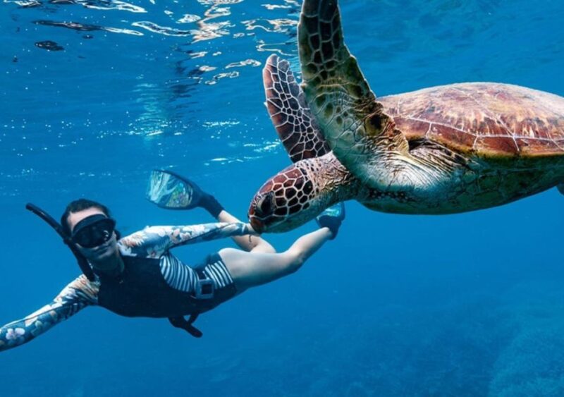 Gili T Island: Gili Snorkeling Day Trip Swim With Turtles - The Value: Why It’s a Good Deal
