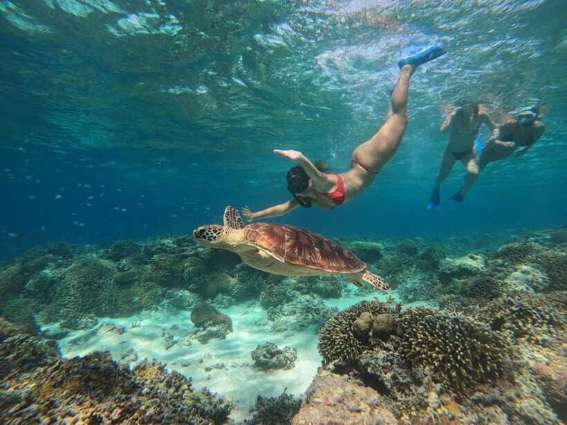 Gili T Private Snorkeling Trip include GOPRO shoot - FAQ