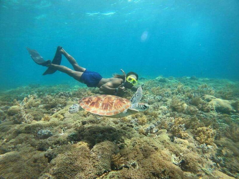 Gili T : Shared group snorkeling trip - The Practicalities: What to Expect and Bring