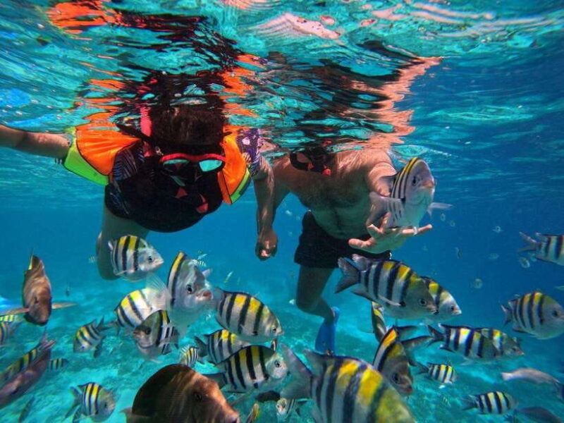 Gili T : Shared group snorkeling trip - The Value and Why It Stands Out