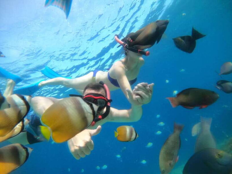 Gili T : Small group snorkeling trip - Gili T: Small Group Snorkeling Trip — An Authentic Underwater Adventure