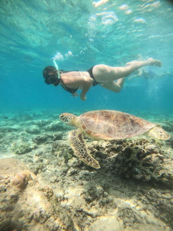Gili T : Small group snorkeling trip - An Honest Look at the Experience
