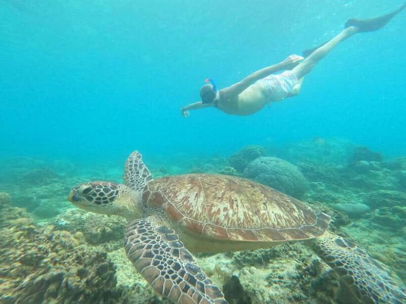 Gili T Snorkeling Trip By Glass Bottom Boat & Visit Turtles - The Itinerary: Simple, Efficient, Enjoyable