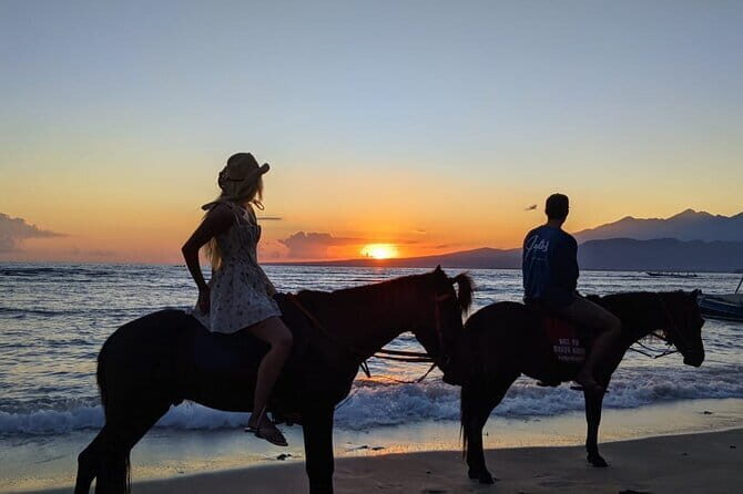 Gili Trawangan Beach Horseback Riding with Pickup Hotel - What to Expect from the Horseback Riding Tour