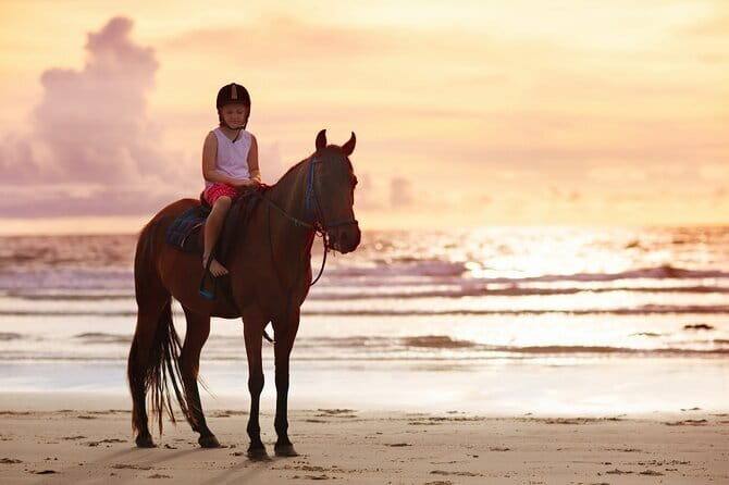 Gili Trawangan Beach Horseback Riding with Pickup Hotel - Who Should Consider This Tour?
