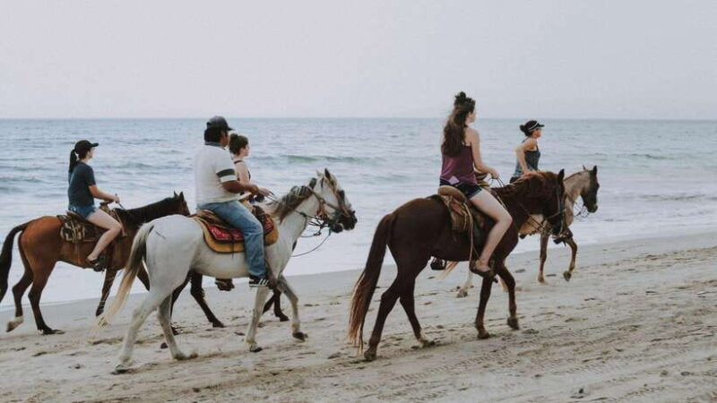 Gili Trawangan: Beach Horseback Riding with Pickup Hotel - The Sum Up