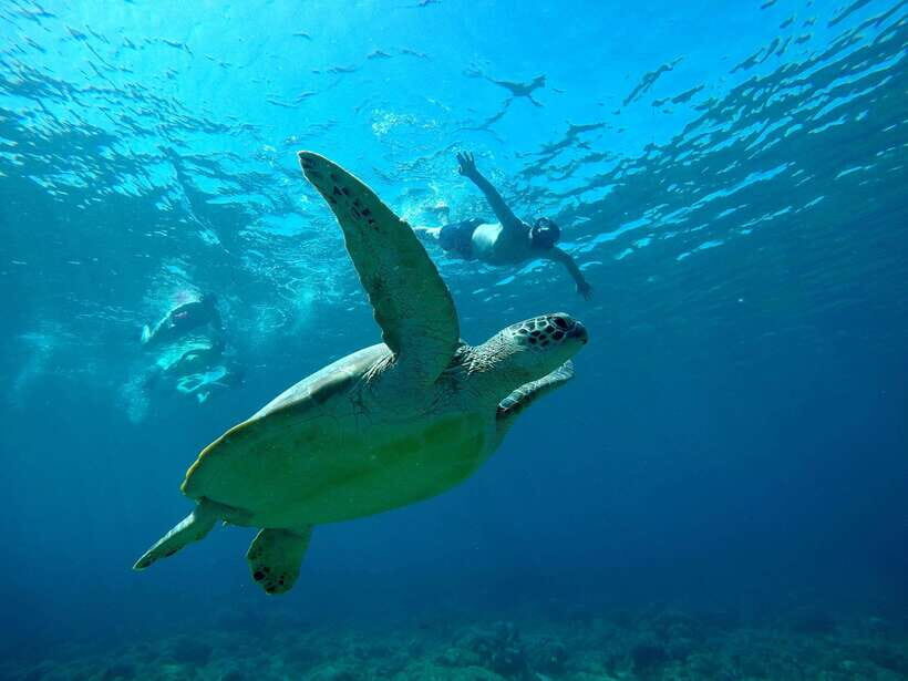 Gili Trawangan Best Snorkeling Trip With GOPRO documentation - Key Points