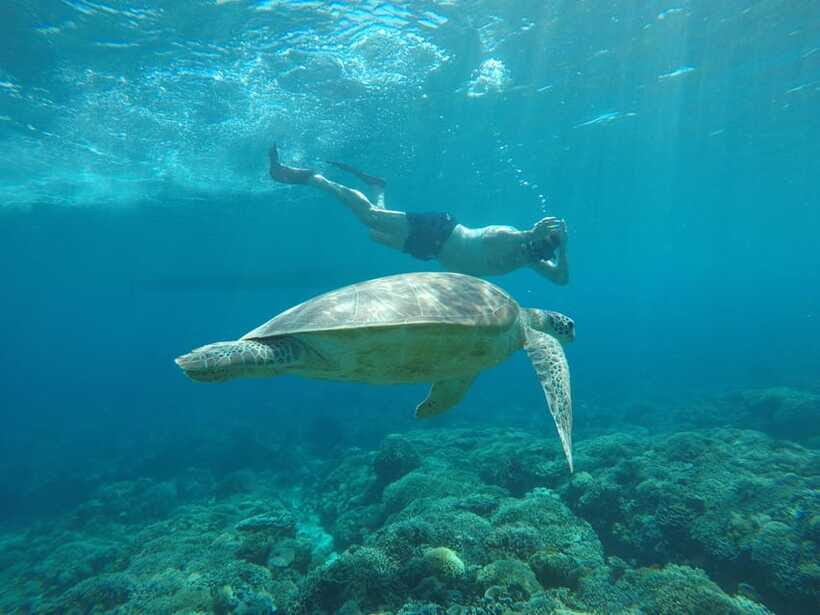 Gili Trawangan Best Snorkeling Trip With GOPRO documentation - Practical Details