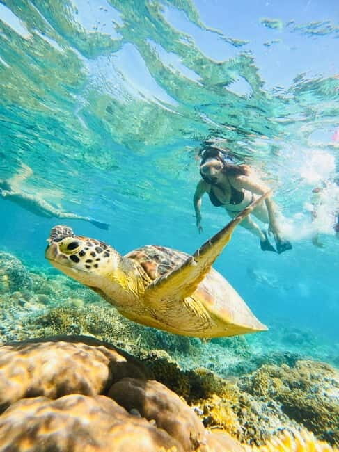 Gili Trawangan: Cycling Tour with Snorkeling and Viewpoint - Key Points