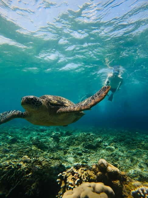 Gili Trawangan: Cycling Tour with Snorkeling and Viewpoint - A Close Look at the Tour Itself