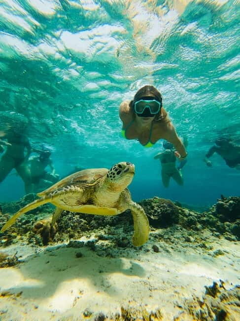 Gili Trawangan: Cycling Tour with Snorkeling and Viewpoint - What Travelers Are Saying