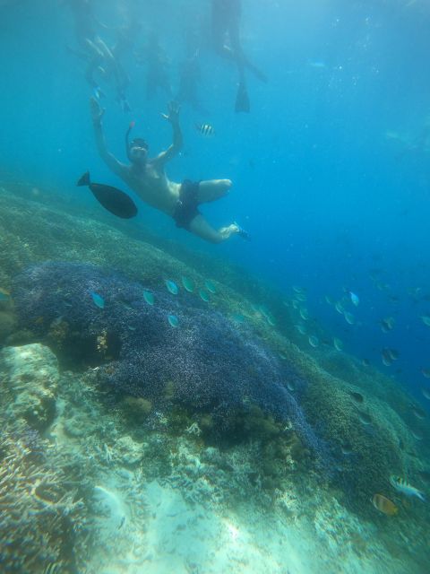 Gili Trawangan : Half Day Snorkeling with Turtle and Statue - Who Should Consider This Tour?