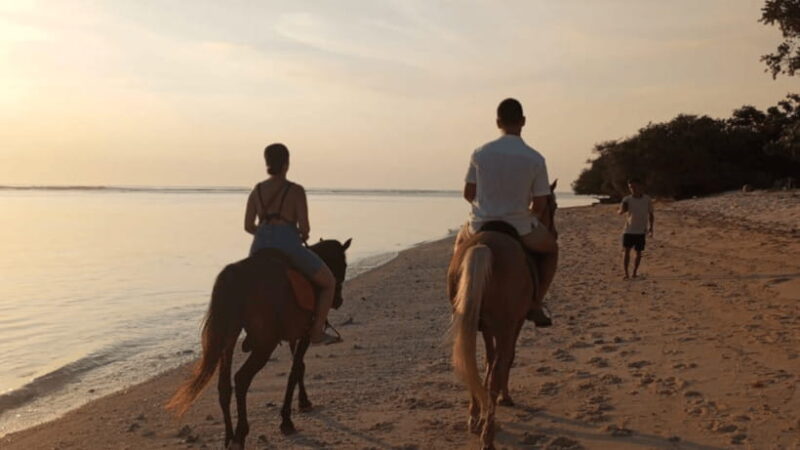 Gili Trawangan: Horse Riding on the Beach - Key Points