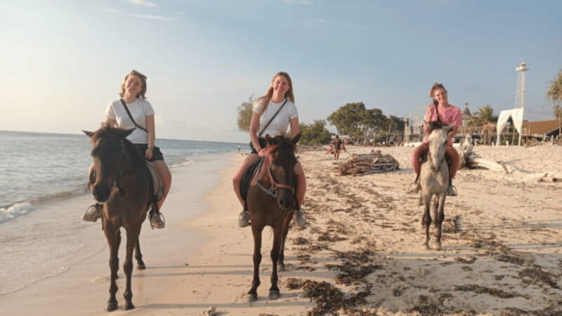 Gili Trawangan: Horse Riding on the Beach - What to Expect During Your Ride
