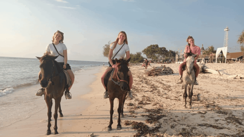 Gili Trawangan: Horse Riding on the Beach - FAQ