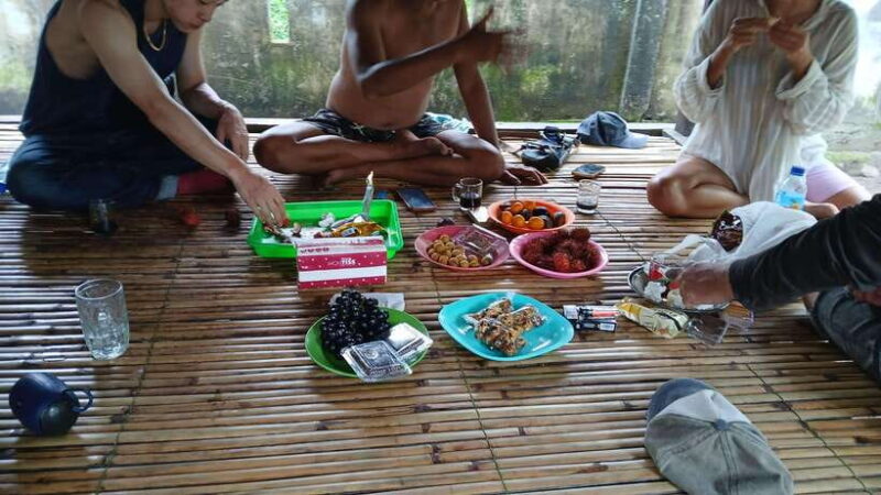 Gili Trawangan: Magic Mushroom Tour with Jungle Breakfast - Key Points