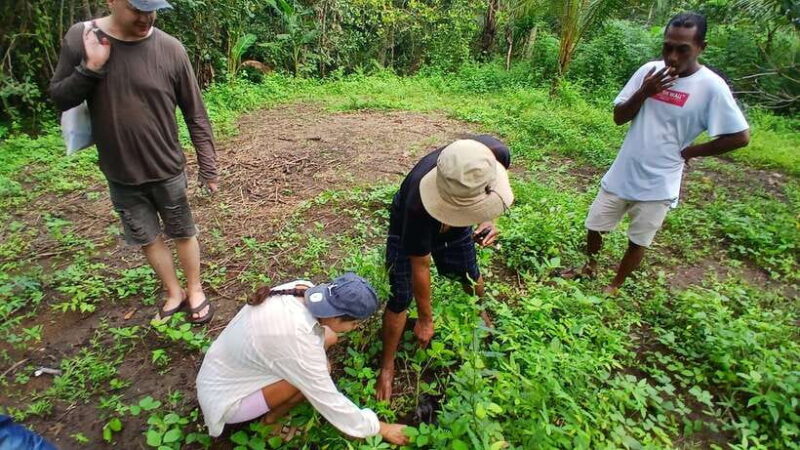 Gili Trawangan: Magic Mushroom Tour with Jungle Breakfast - Final Thoughts