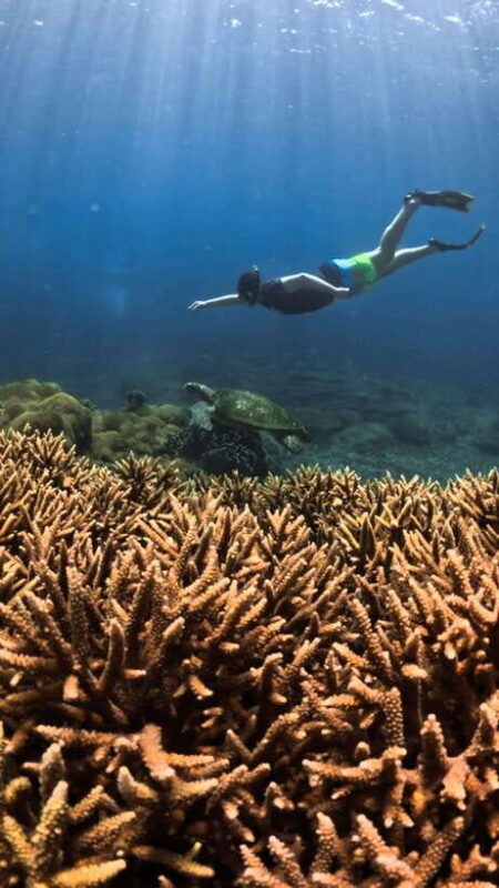 Gili Trawangan : Privat & Sharing Snorkeling Tour 3 Gili - Why Travelers Love This Tour