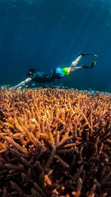 Gili Trawangan : Privat & Sharing Snorkeling Tour 3 Gili - Who Will Enjoy This Tour?