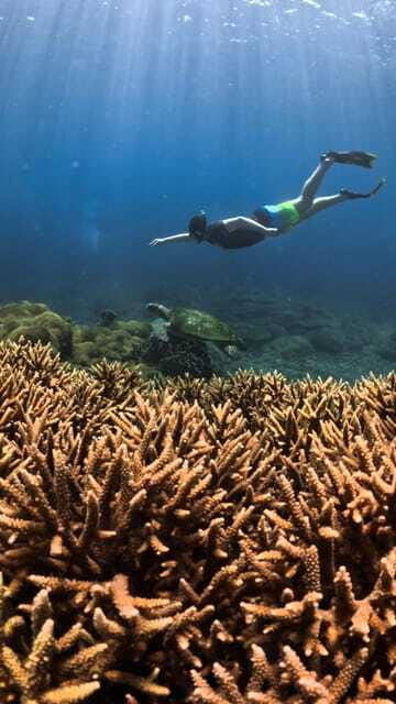 Gili Trawangan : Privat & Sharing Snorkeling Tour 3 Gili - The Sum Up