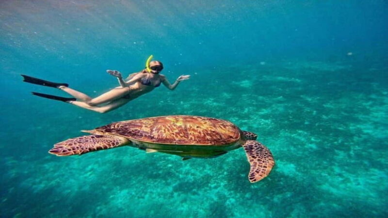 Gili Trawangan: Private Snorkeling 4 Spot with Gopro Camera - The Value and Practicalities