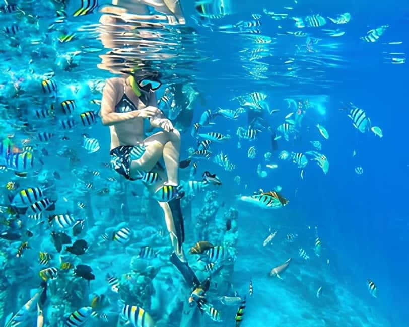 Gili Trawangan: Private Snorkeling 4 Spots Turtle with Gopro - Practical Details: Making the Most of Your Tour