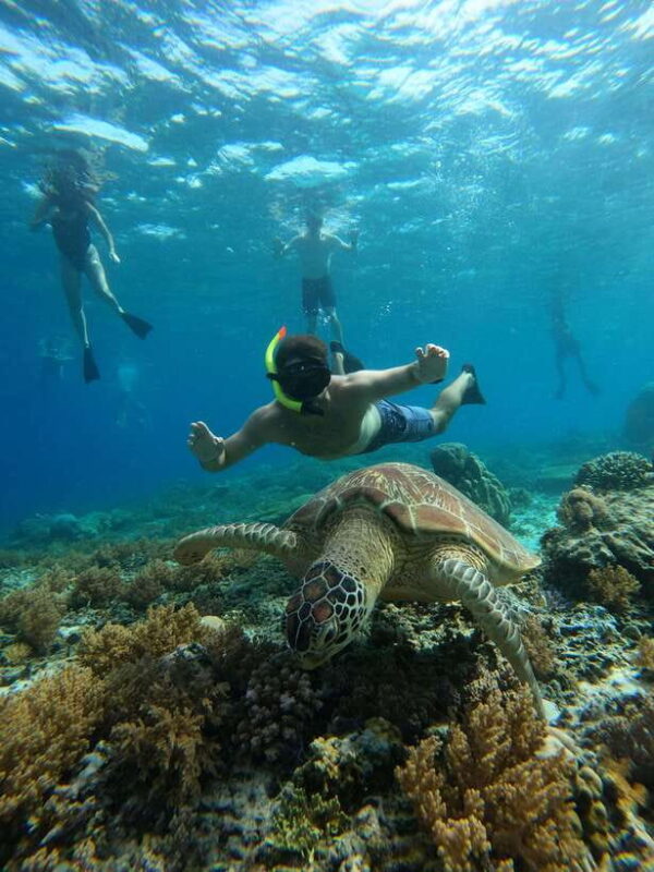 Gili Trawangan: Private Snorkeling (Coral, Statues, Turtles) - Frequently Asked Questions