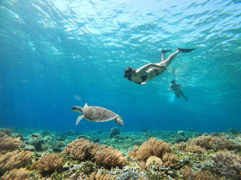 Gili Trawangan: Private Snorkeling (Coral, Statues, Turtles) - Final Thoughts