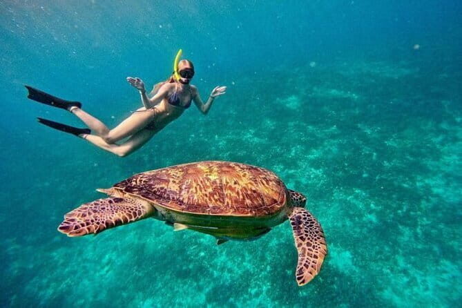 Gili Trawangan Snorkeling with Turtles & Underwater Statue - Why This Tour Offers Great Value