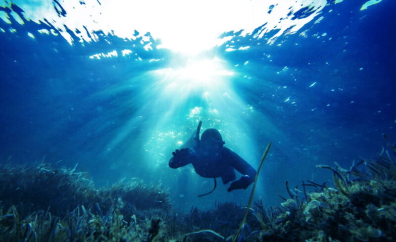 Gili Trawangan : Spearfishing with Catch & Cook Experience - The Itinerary: What to Expect