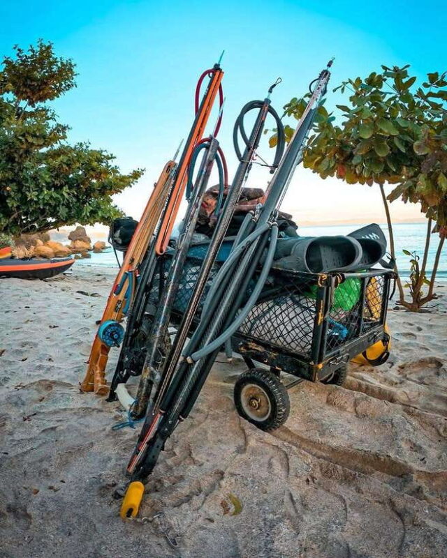 Gili Trawangan : Spearfishing with Catch & Cook Experience - Equipment and Safety