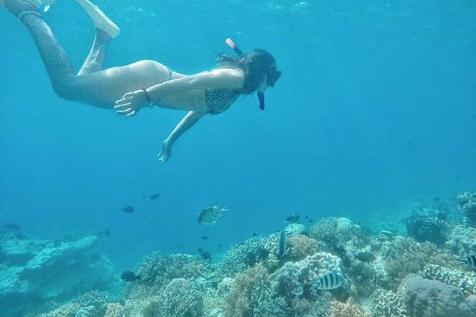 Gili Trawangan,Gili Meno& Gili Air Island:Snorkeling Day Trip Depart from Lombok - Who Should Consider This Tour?
