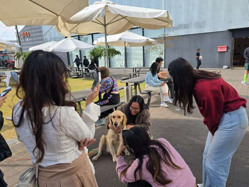 Gimpo: Gochujang Making & Aegibong Peace Eco Park Visit - Who Will Enjoy This Tour?