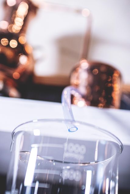 Gin distillation workshop in French - Who Will Enjoy This?