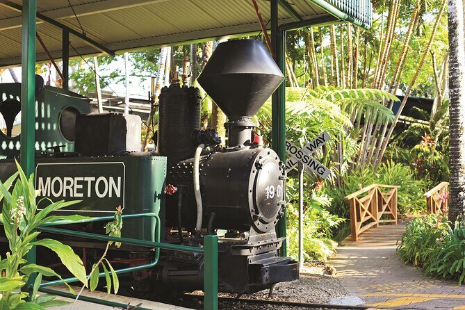 Ginger Factory and Nutworks Return Bus Transfer: Sunshine Coast - Practical Tips for Your Visit