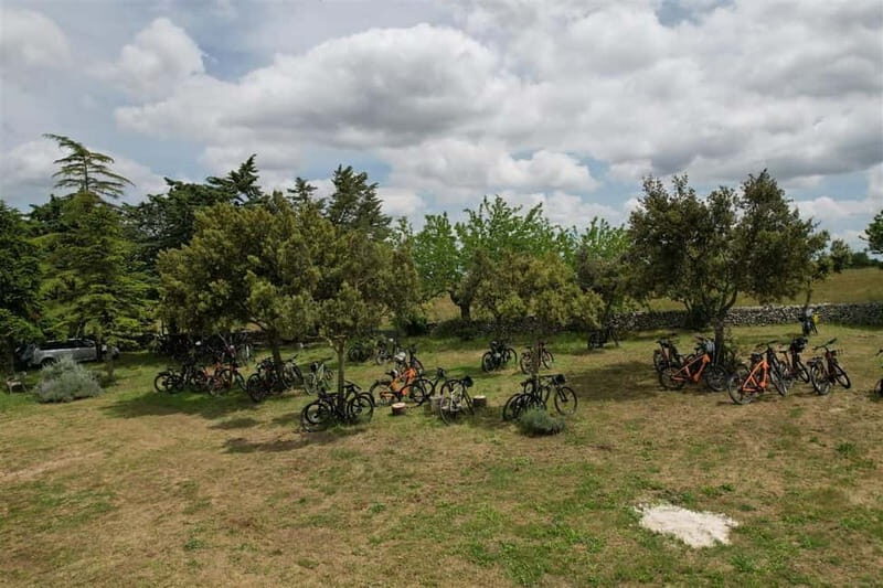 Gioia del Colle: E-Bike Tour through Vineyards & Wine - An In-Depth Look at the Gioia del Colle E-Bike Tour