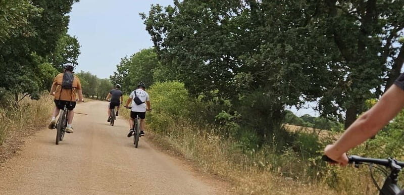Gioia del Colle: E-Bike Tour to Mozzarella Farm with Tasting - What Makes This Tour Stand Out?