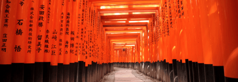 Gion? Arashiyama? or BOTH? Adventure With a Local Guide! - Discovering Fushimi Inari Taisha